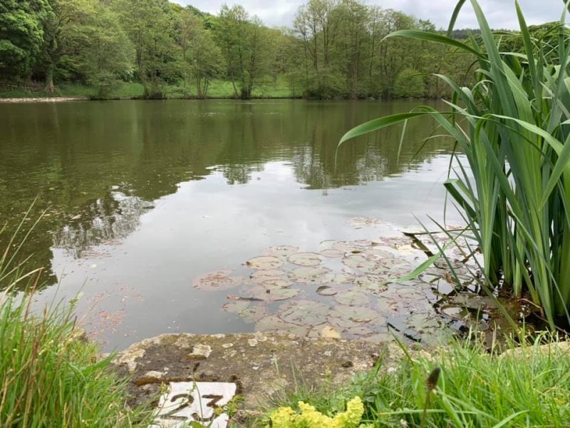 Holymoorside Angling Club | Clubmate