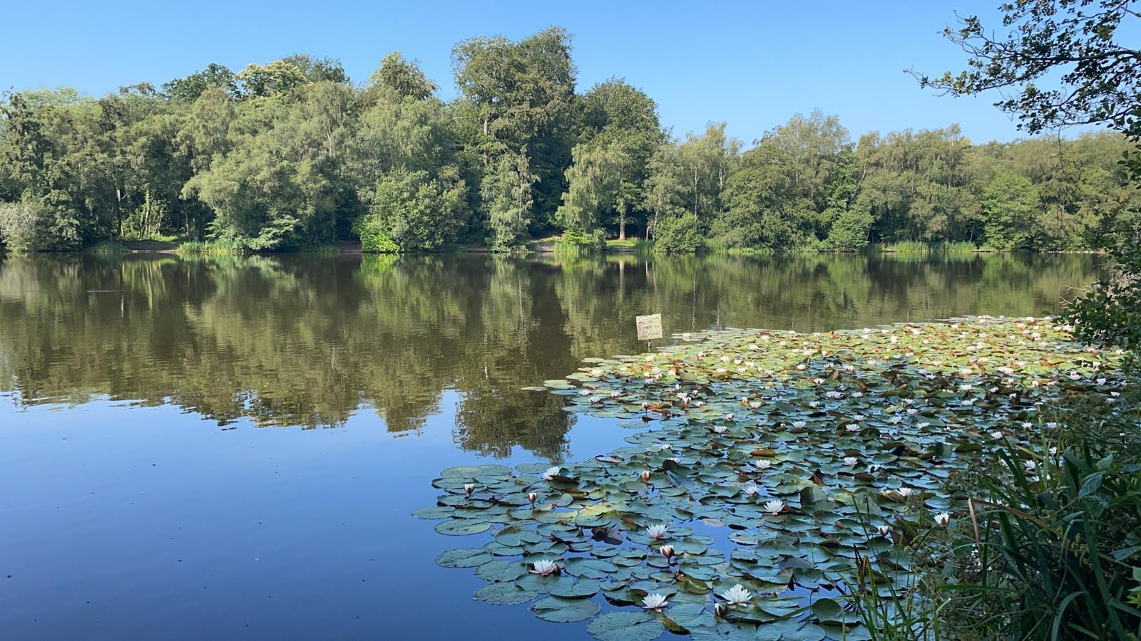 Slaugham Angling Club | Clubmate